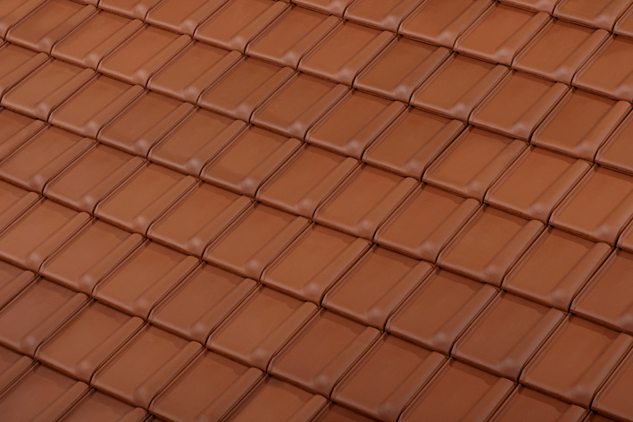 DAKPAN RENAISSANCE NATUURROOD 1RN | Apok.be