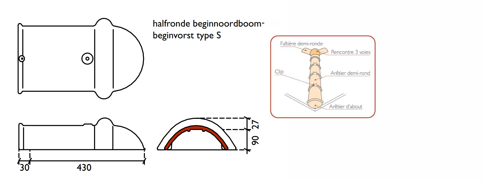 BEGINNOORDBOOM HALFROND 245MM POSTEL 20 RUSTIEK | Apok.be